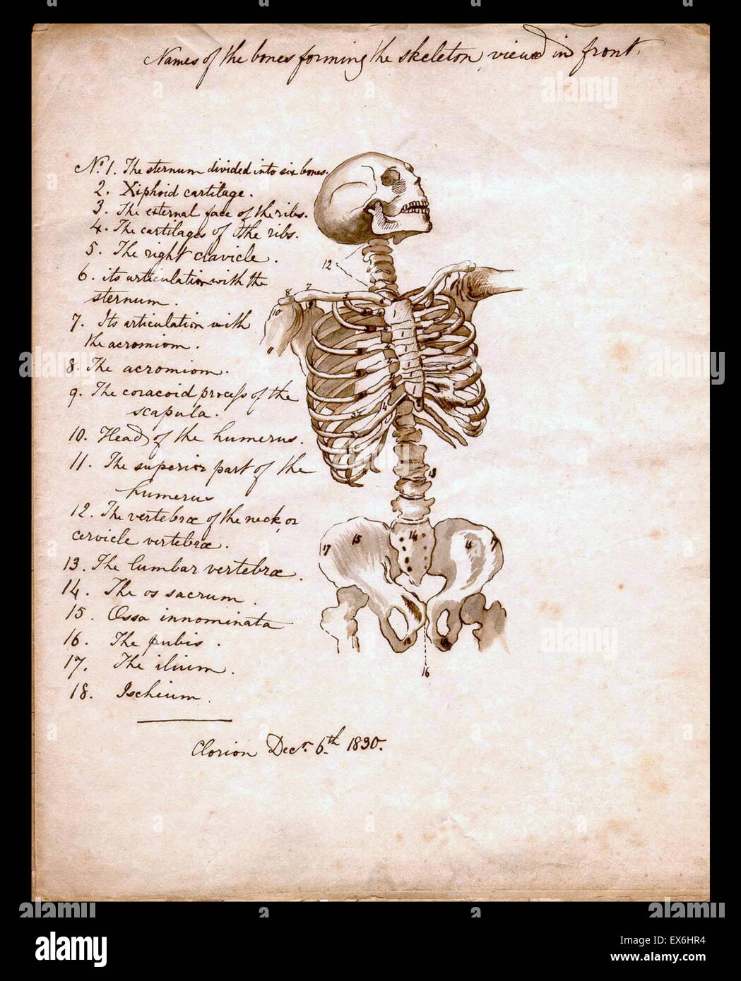 Creator sketch hi-res stock photography and images - Alamy