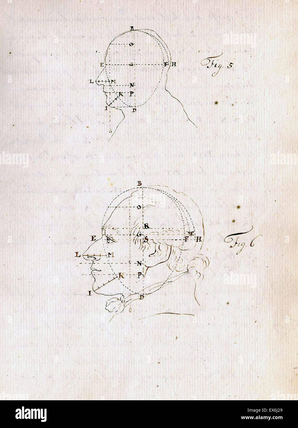 Physiognomy hi-res stock photography and images - Alamy
