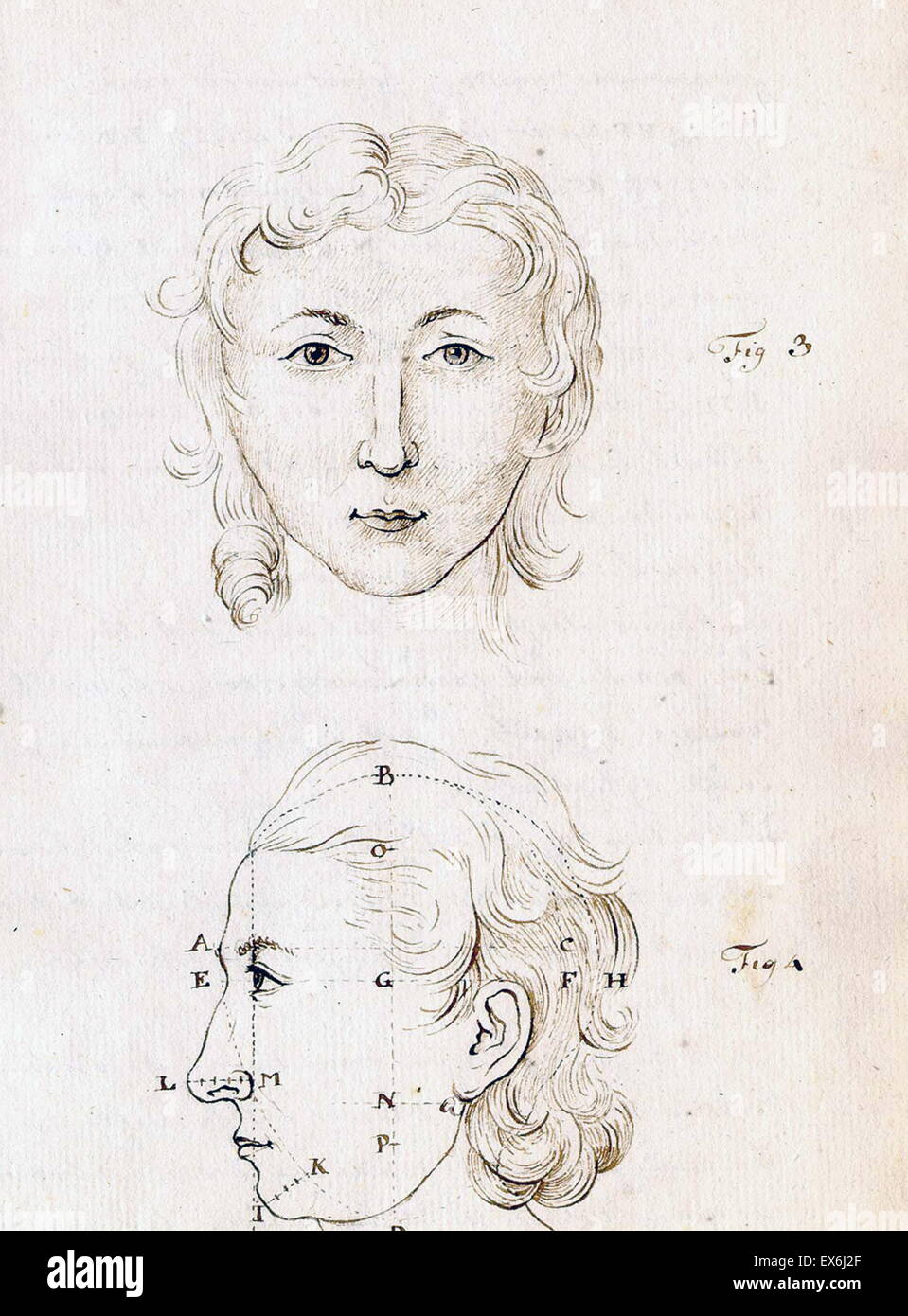 Treatise on physiognomy hi-res stock photography and images - Alamy