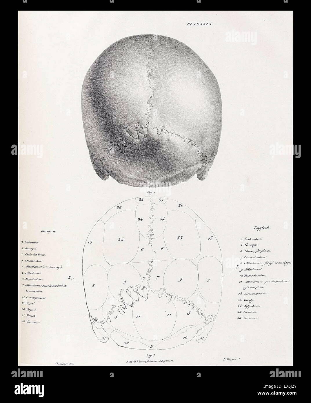Franz joseph gall phrenology hi-res stock photography and images - Alamy
