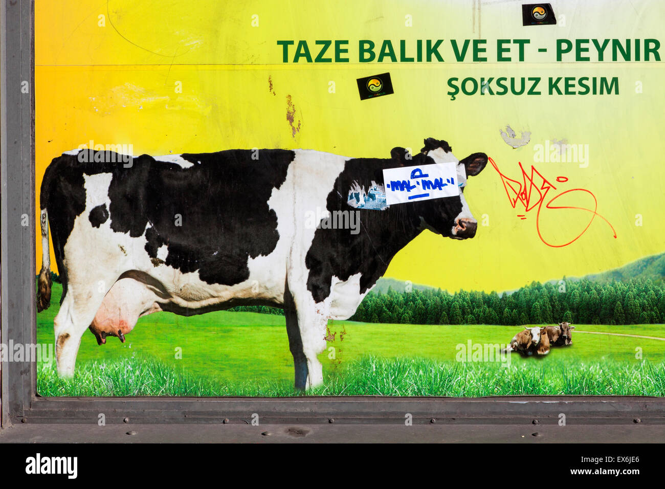 Mad cow disease hi-res stock photography and images - Alamy