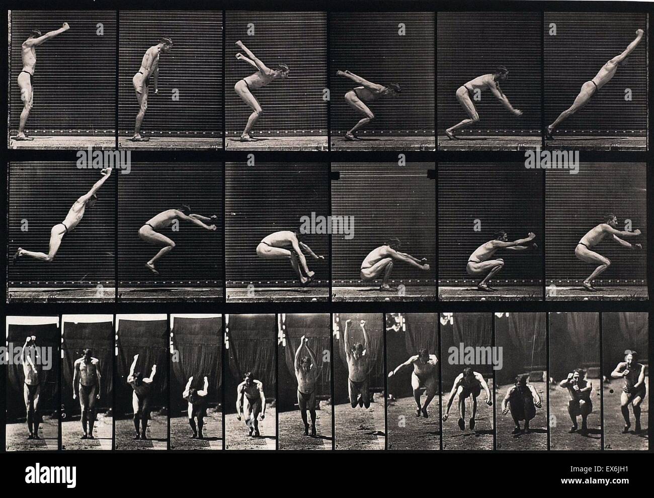 Muybridge hi-res stock photography and images - Alamy