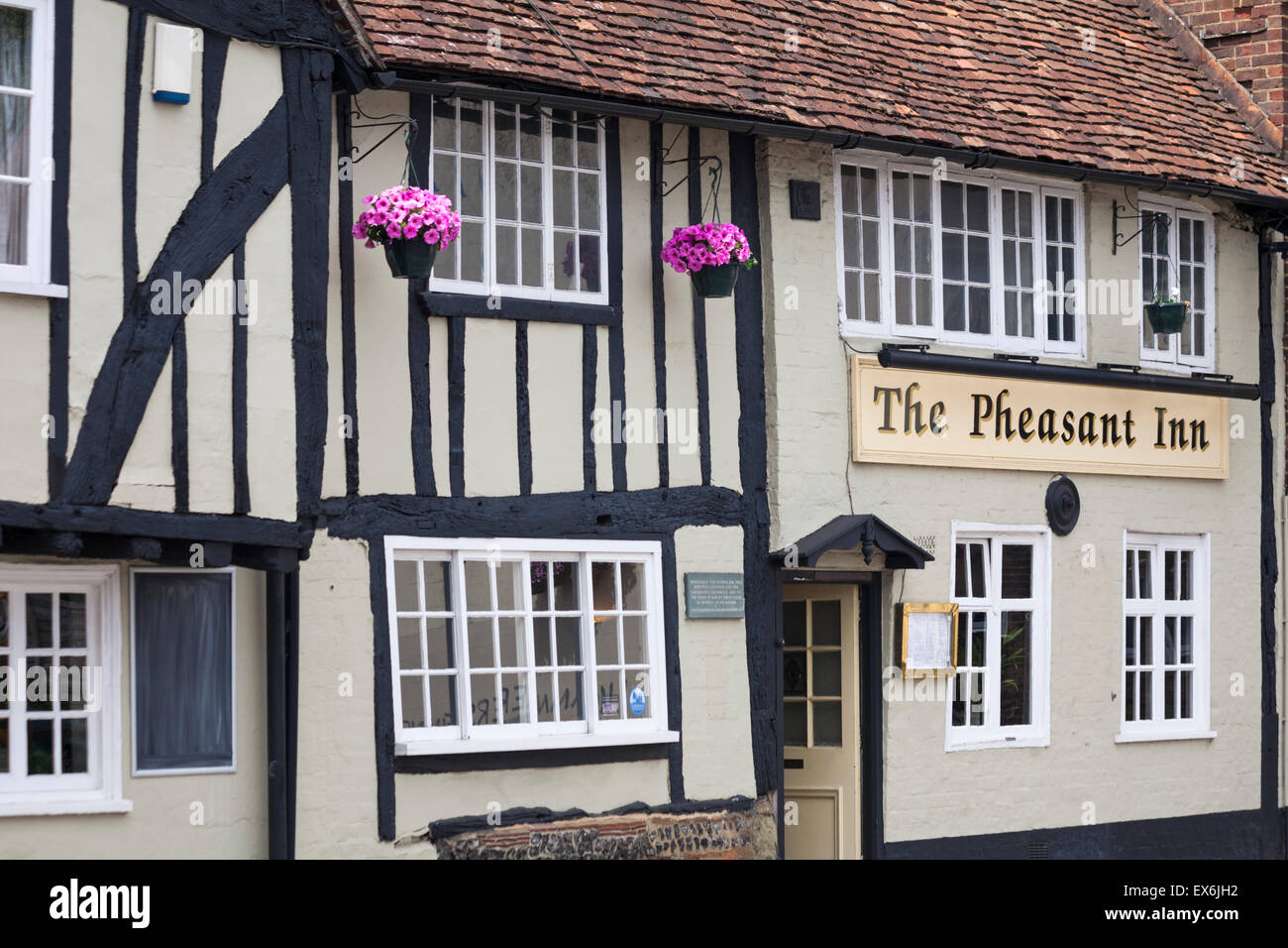 The Pheasant Inn at Salisbury in June Stock Photo - Alamy