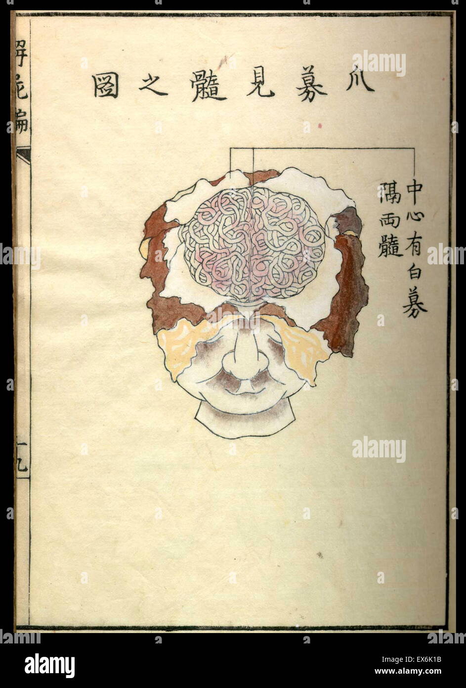 Illustration from a Japanese anatomical and medical text 'Complete ...