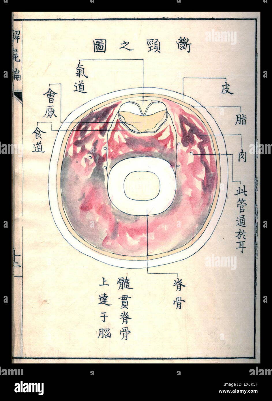 Illustration from “notes on hi-res stock photography and images - Alamy