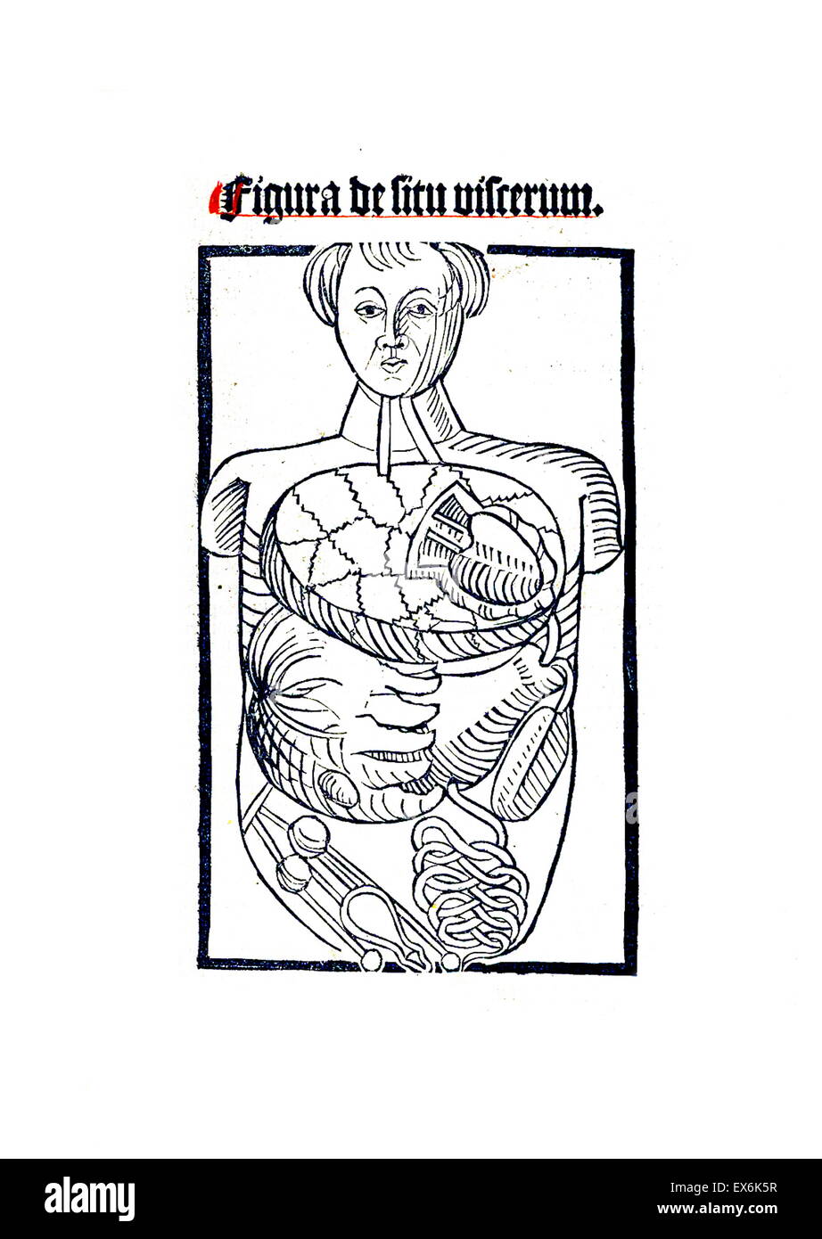 anatomical illustration from 'Antropologium de hominis dignitate ...