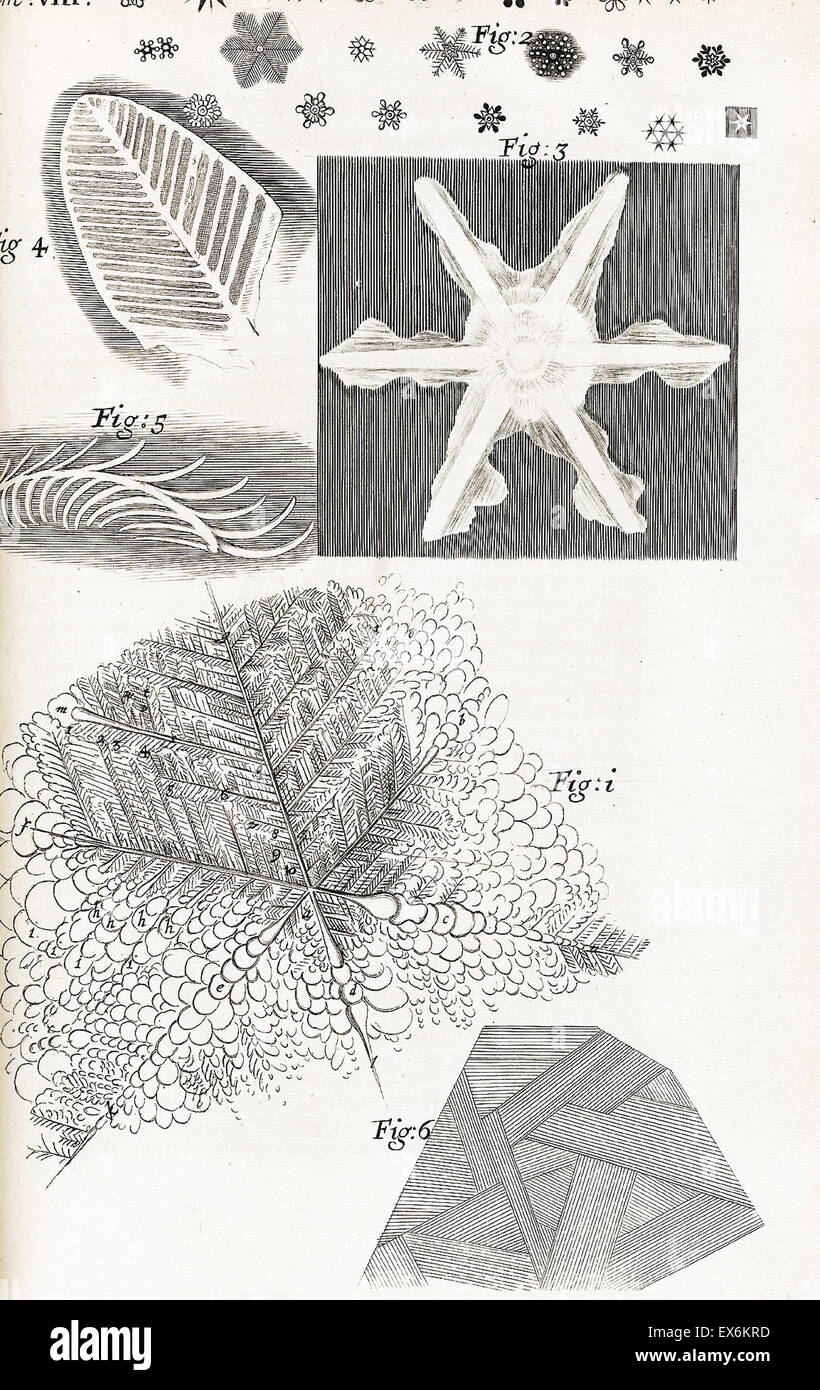 Illustration from 'Micrographia' 1665; by Robert Hooke, 1635-1703 ...