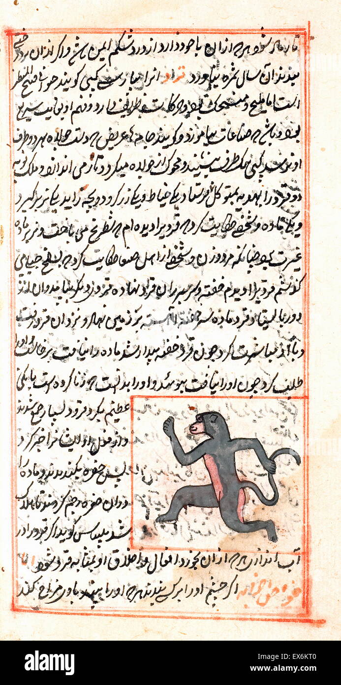 Marvels of things created and miraculous aspects of things existing hi-res stock photography and ...