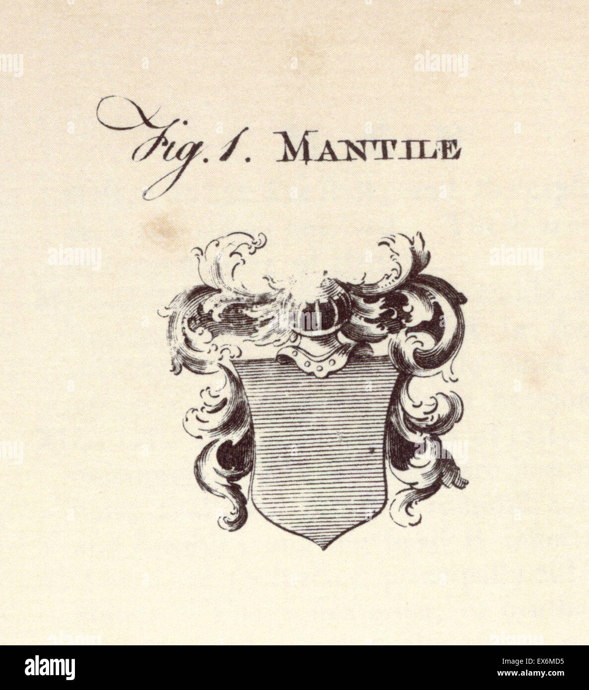 Heraldry hi-res stock photography and images - Alamy