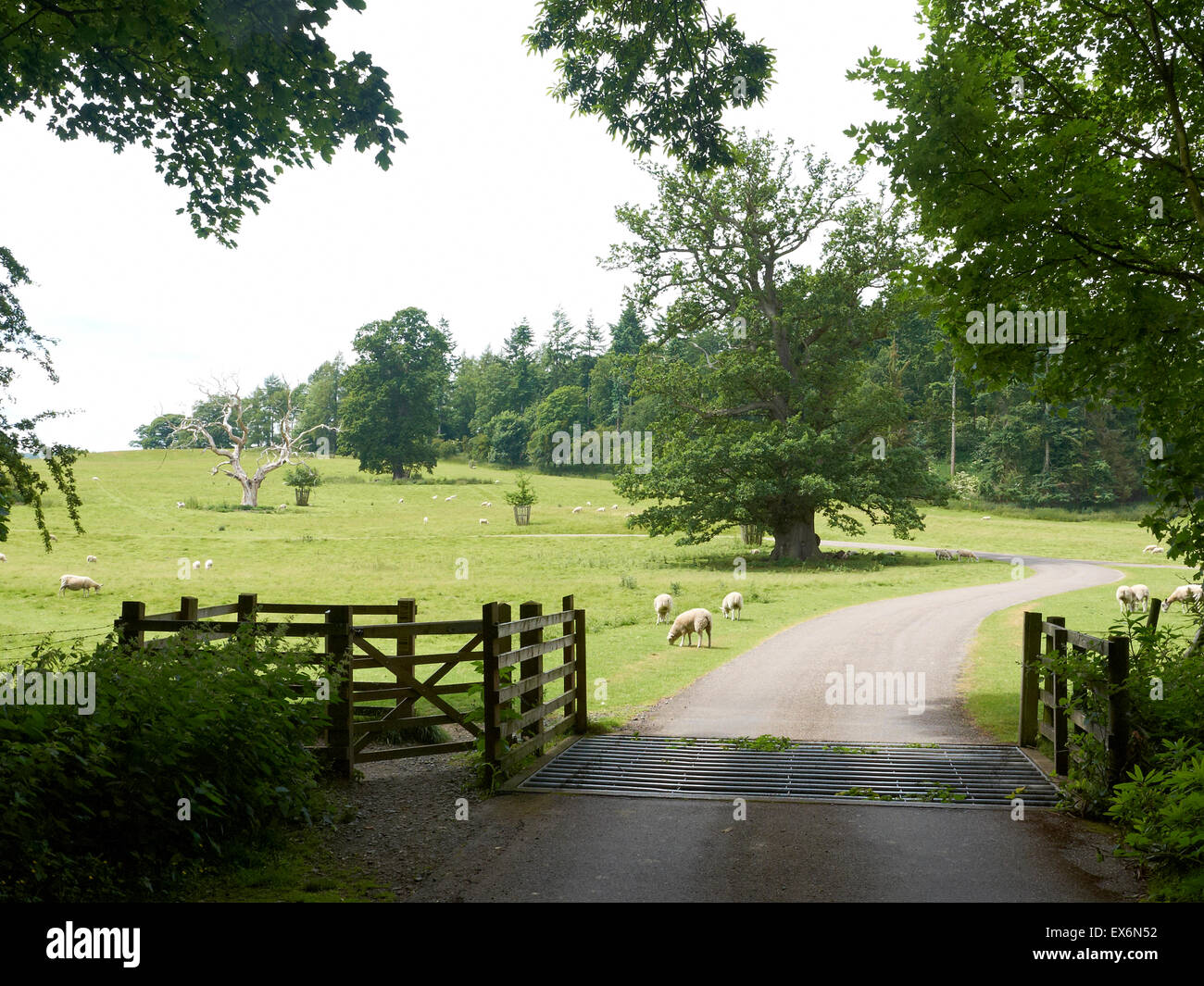 Chirk castle tree hi-res stock photography and images - Alamy