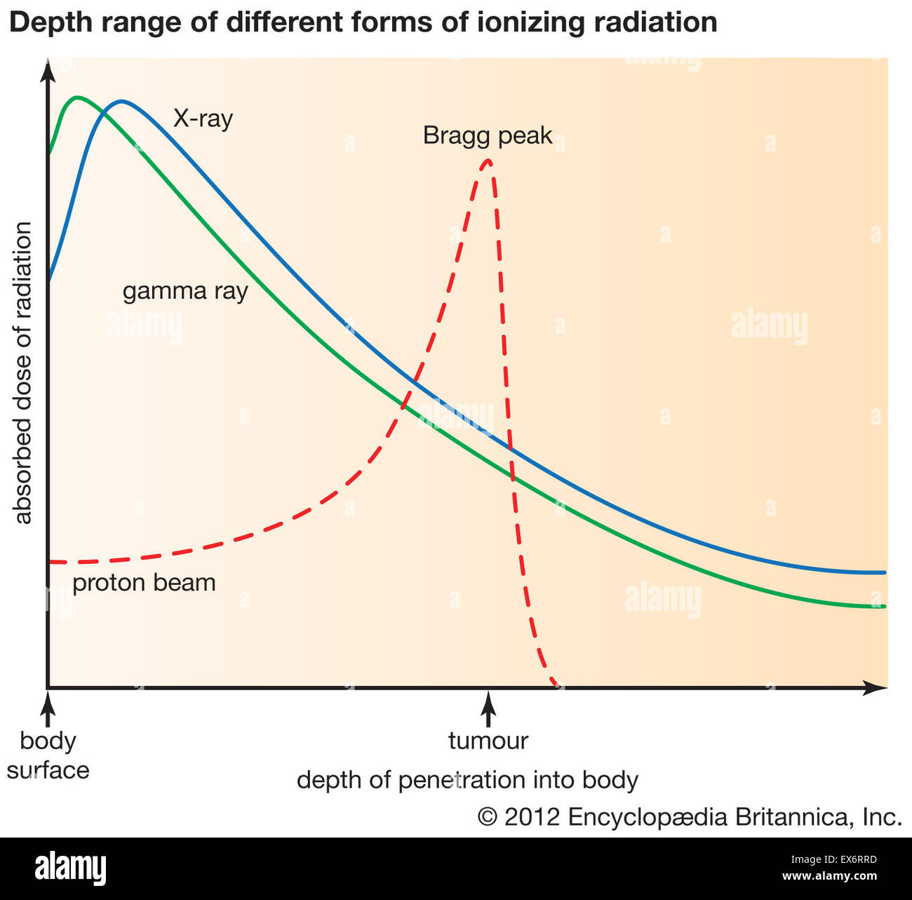 Gamma Rays Diagram