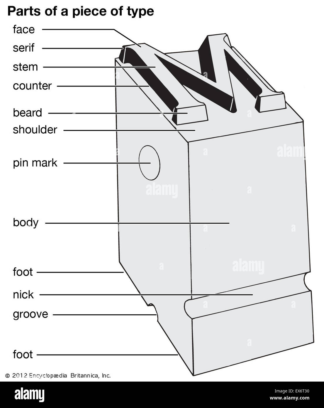 Parts of a piece of type Stock Photo - Alamy
