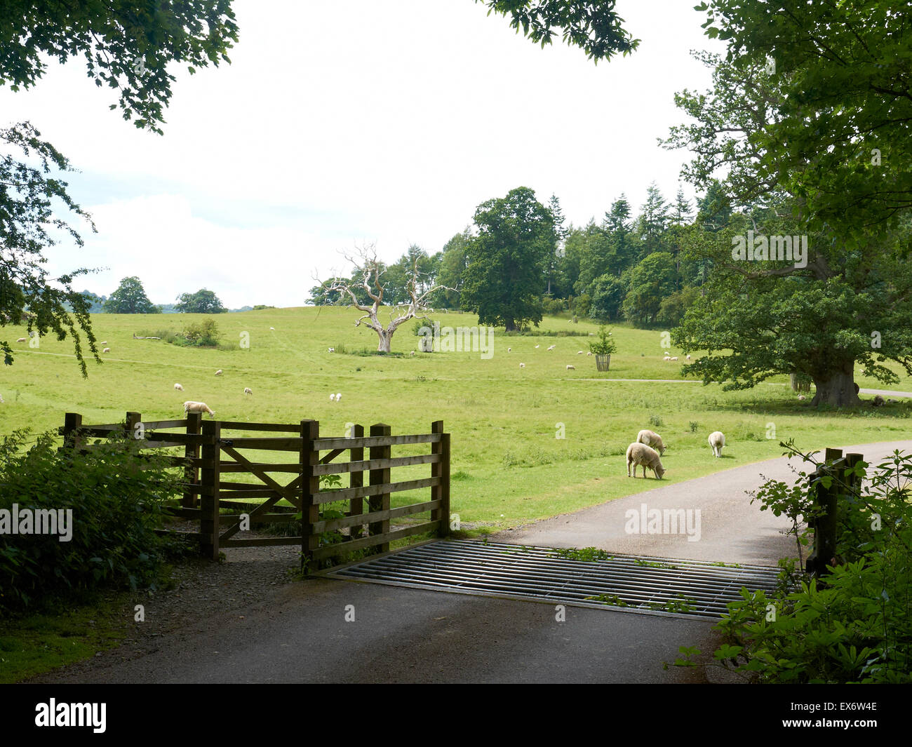 Chirk castle tree hi-res stock photography and images - Alamy