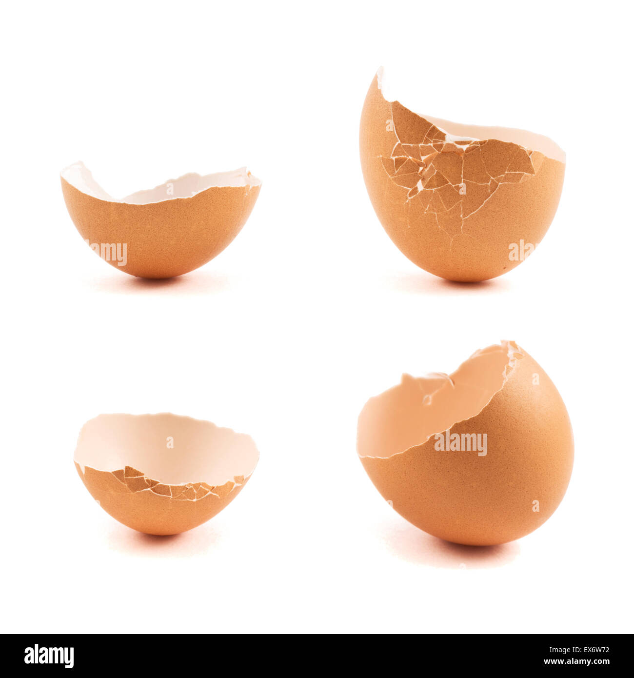 Oval parts Cut Out Stock Images & Pictures - Alamy