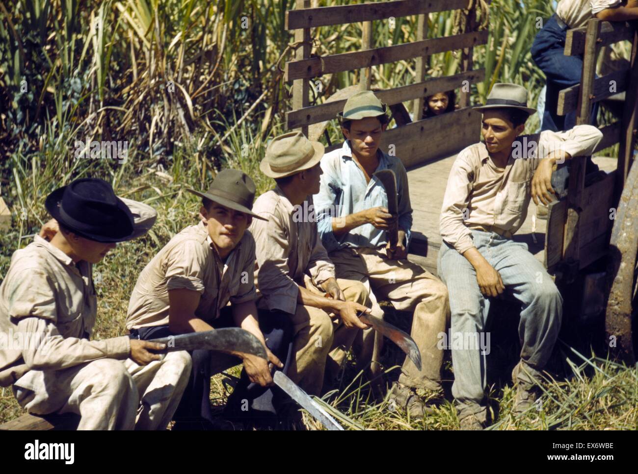 Sugar cane workers resting, Rio Piedras, Puerto Rico. 1941 Stock Photo ...