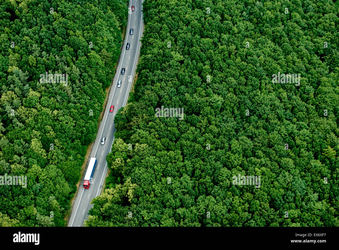 Diverging path hi-res stock photography and images - Alamy