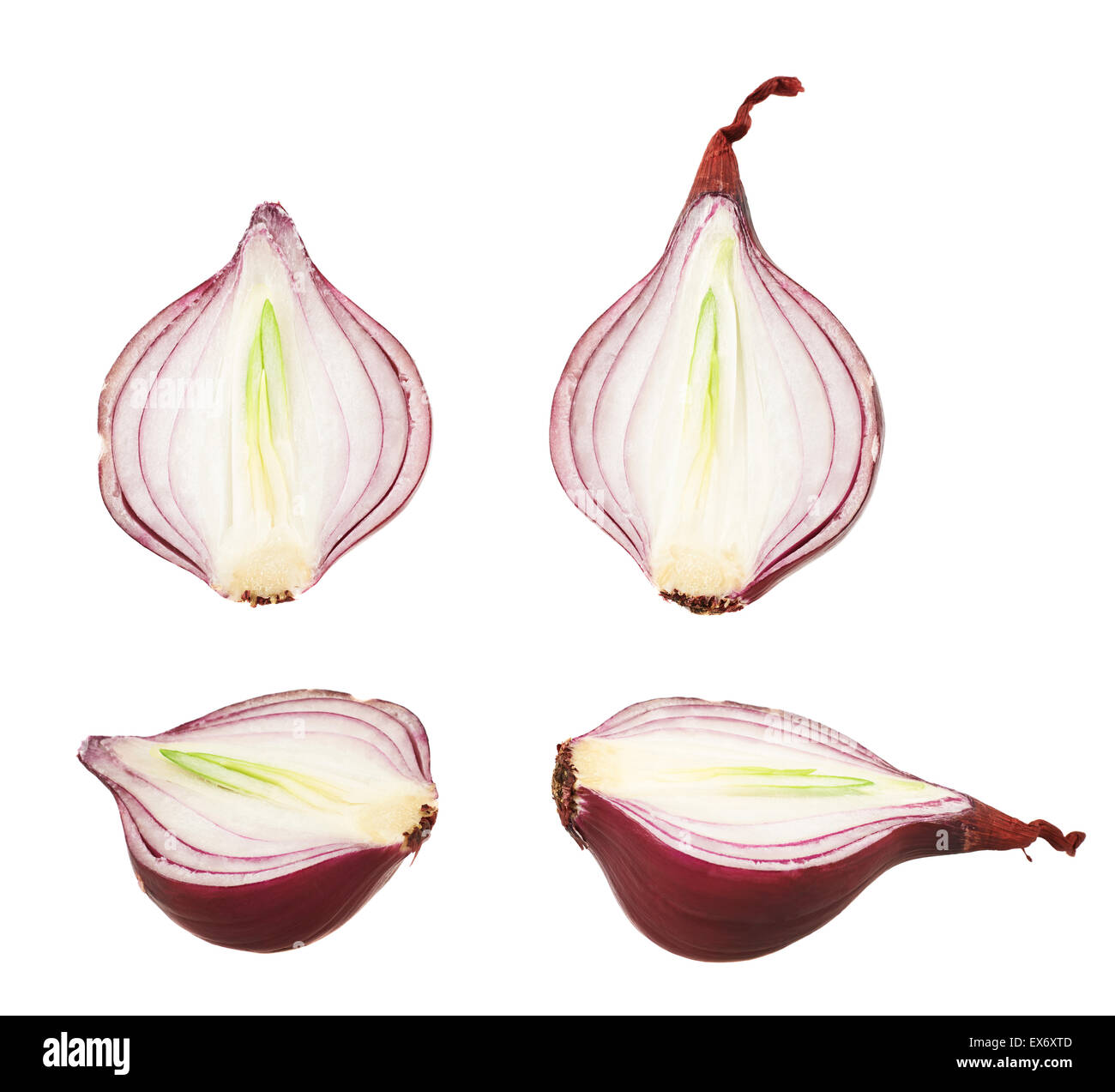 Cut in halves red onion isolated Stock Photo - Alamy