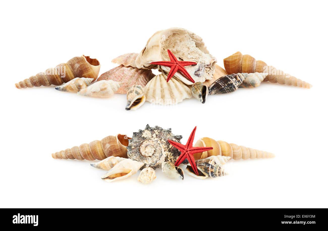 Pile of seashells Stock Photo - Alamy