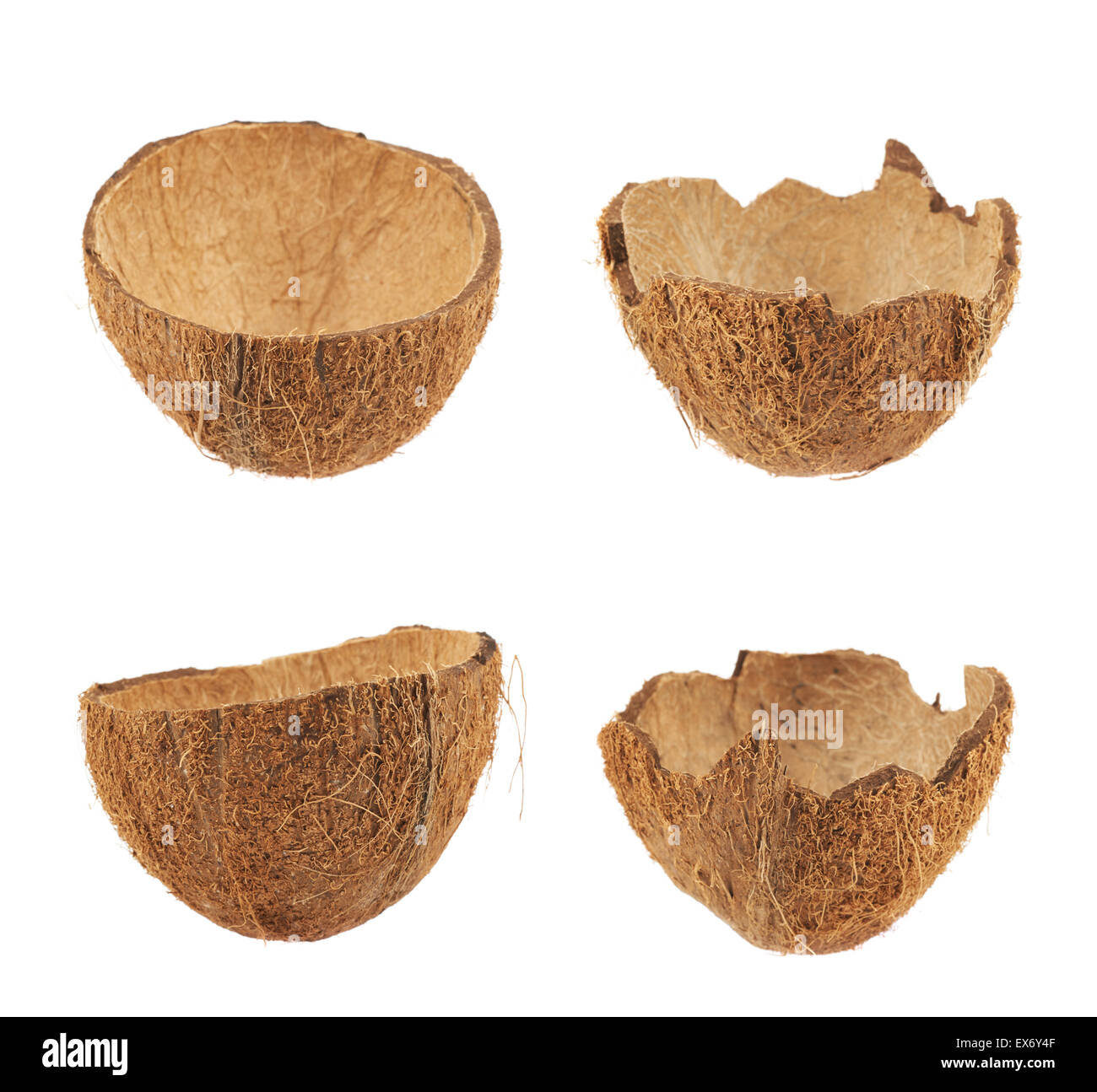 Coconut fruit shell cut in half Stock Photo - Alamy