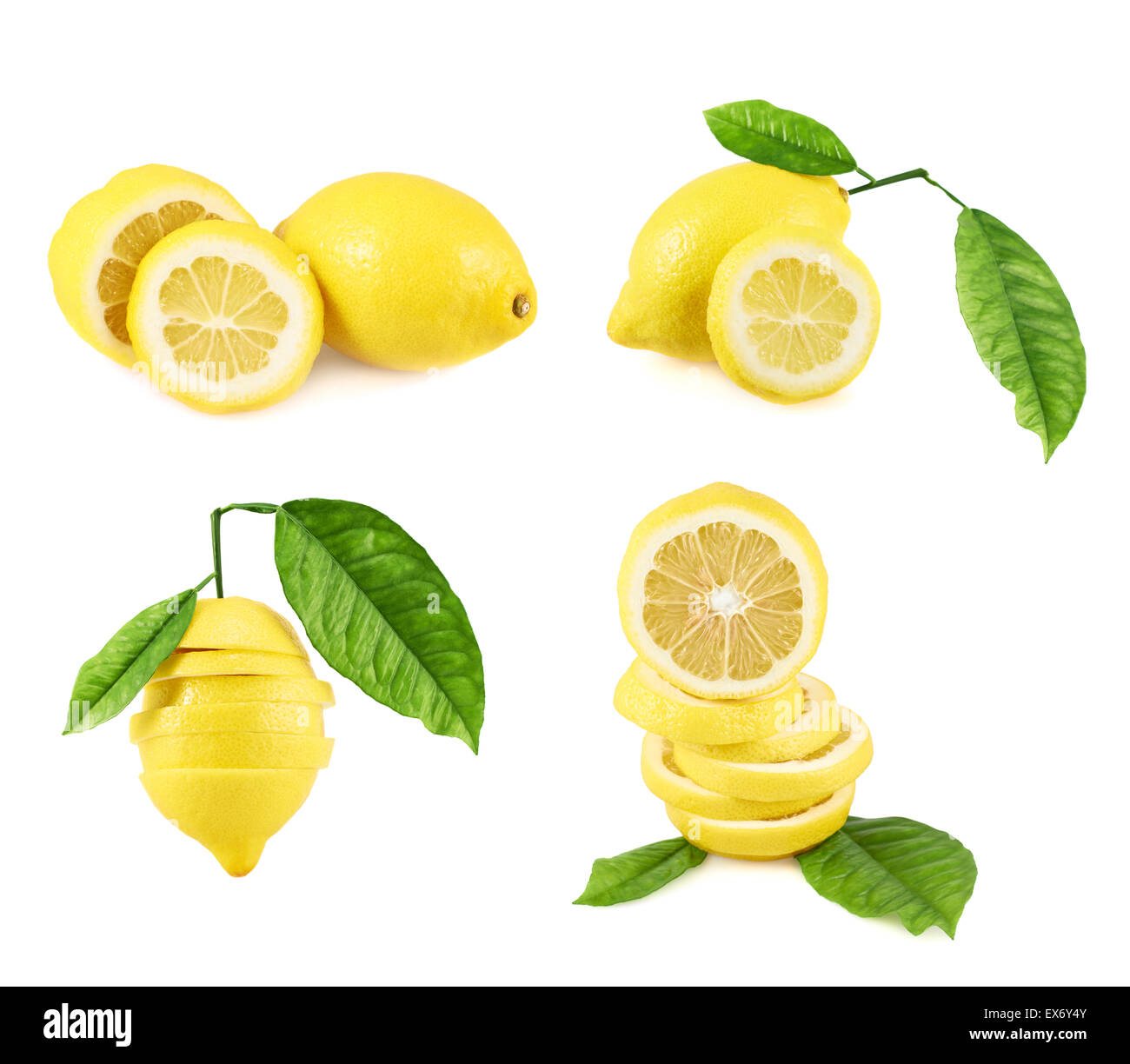 Lemon leaves composition set Cut Out Stock Images & Pictures - Alamy
