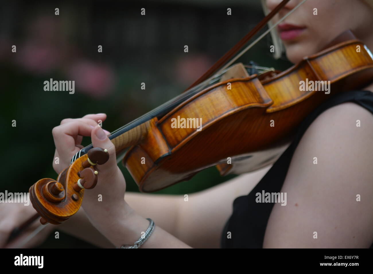 Women violin hi-res stock photography and images - Alamy