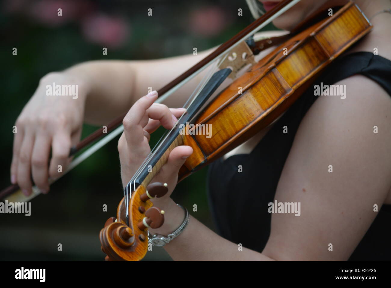Women playing violin Stock Photo - Alamy