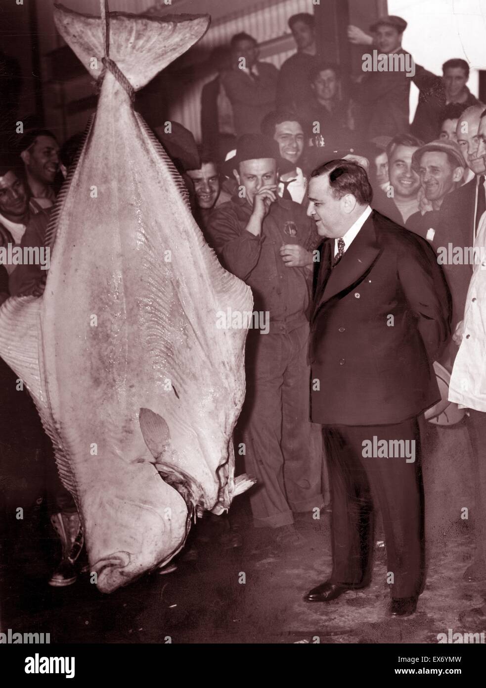 Martin Luther King, Jr. (1929-1968) three-quarter-length portrait ...