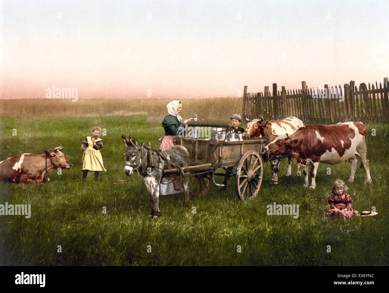 Milk sellers, Cologne, The Rhine, Germany (1890-1900 Stock Photo - Alamy