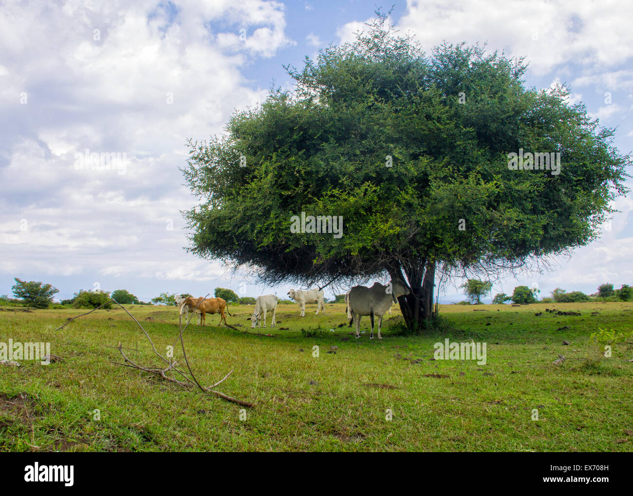Taking refuge hi-res stock photography and images - Alamy