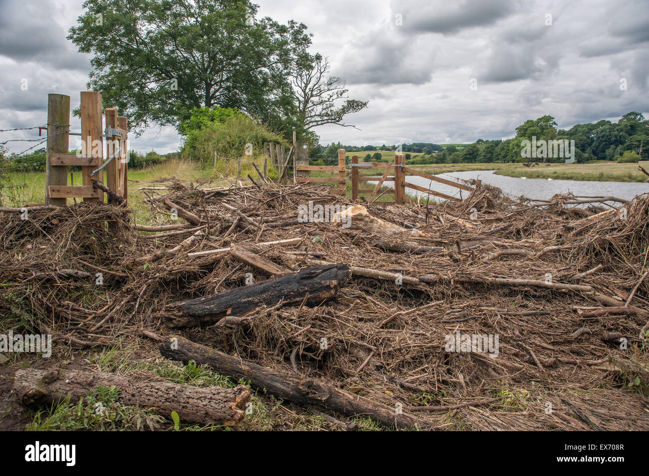River Debris Lune valley Stock Photo - Alamy