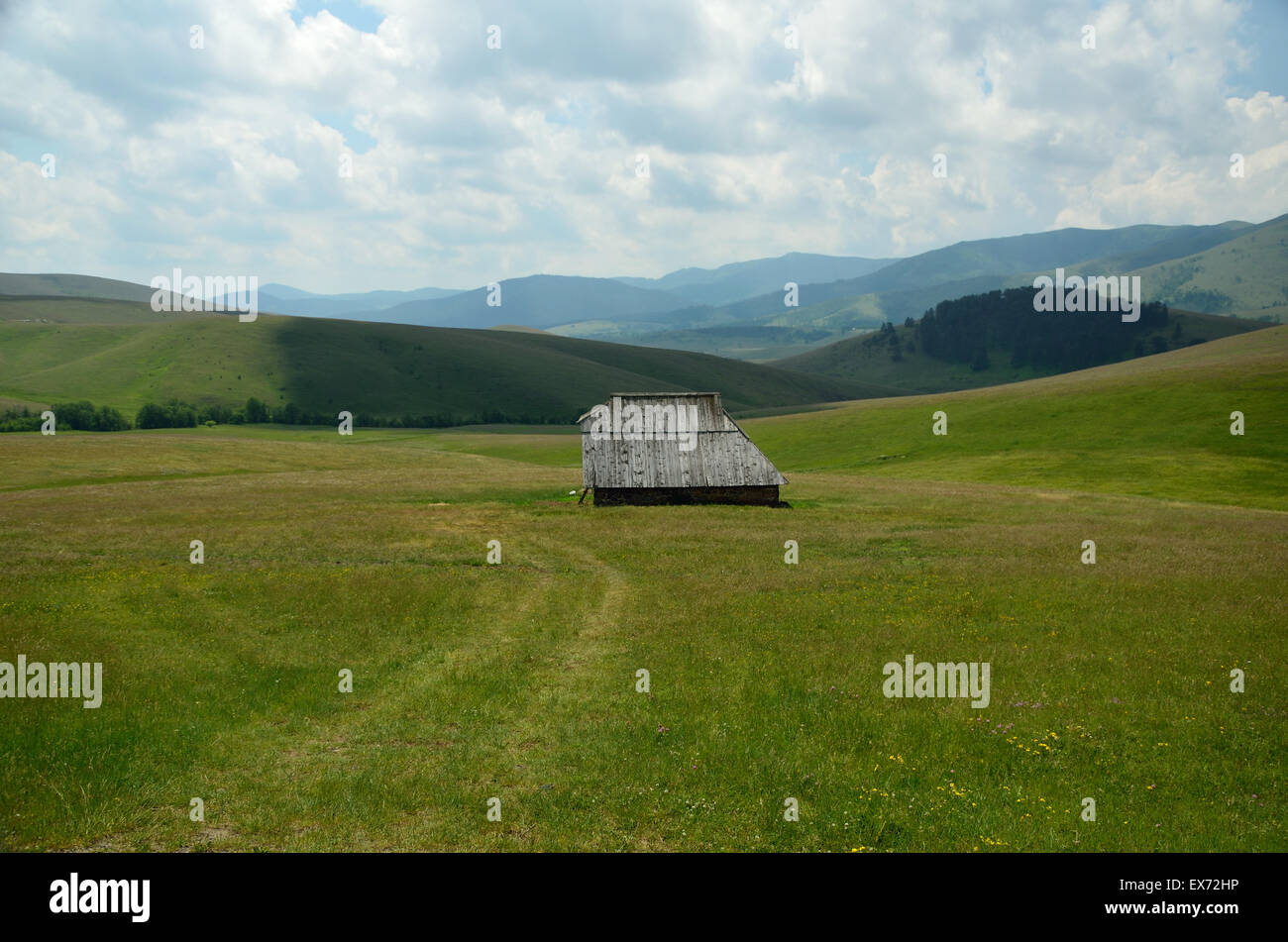 Shepard's house in green fields during spring Stock Photo - Alamy