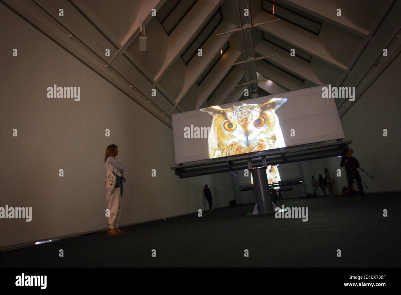 Frankfurt, Germany. 8th July, 2015. The sculpture 'migration (empire ...