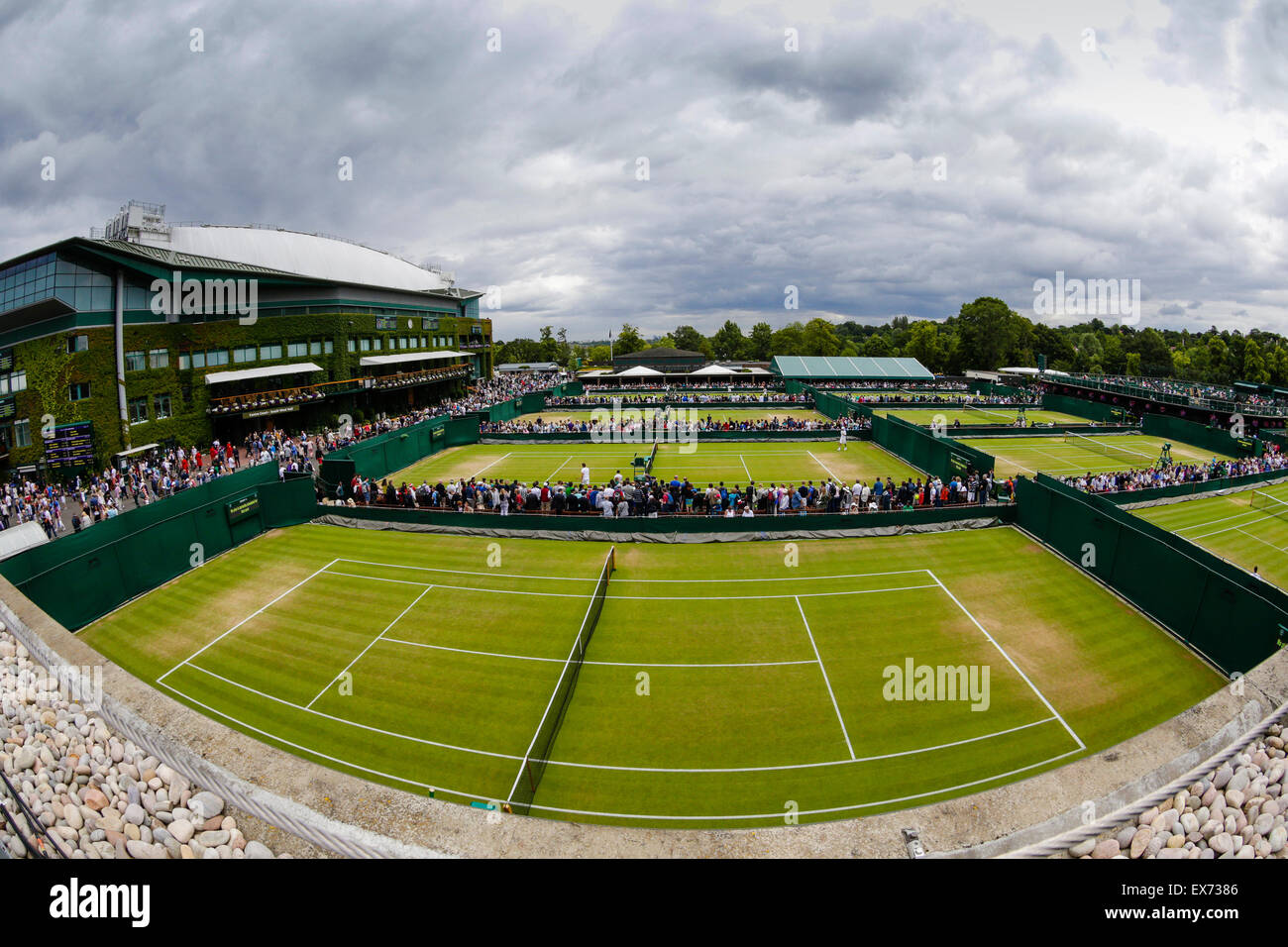 Wimbledon, UK. 08th July, 2015. The Wimbledon Tennis Championships. A ...
