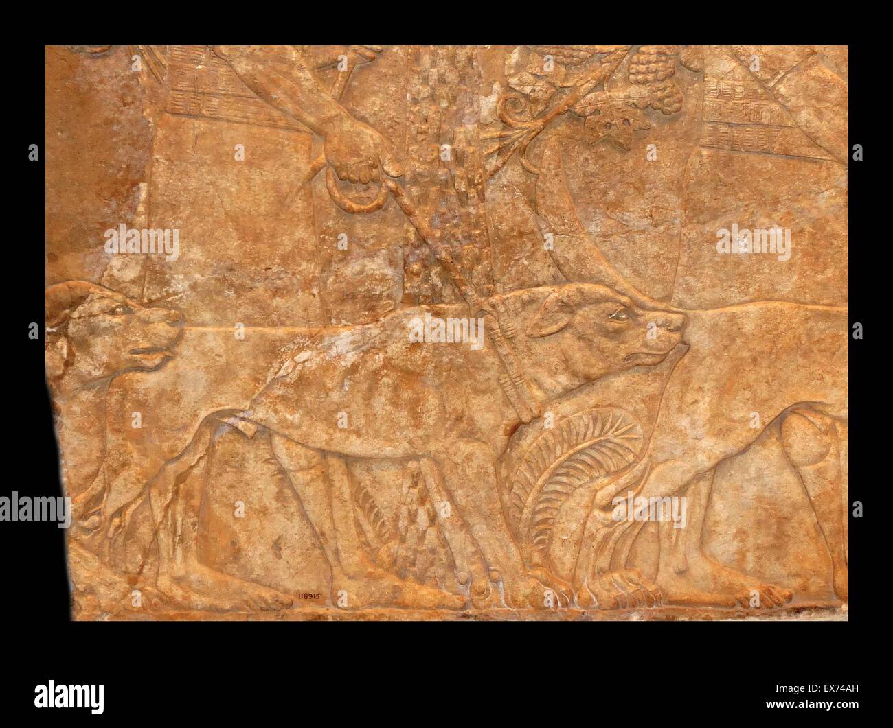 Assyrian palace and garden hi-res stock photography and images - Alamy