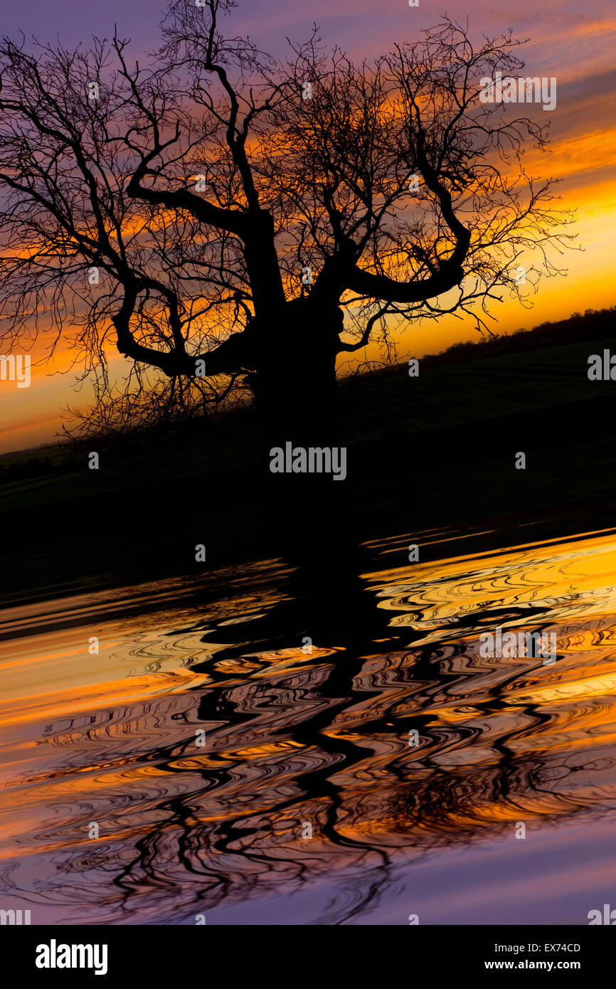 Winter sunset reflection in water hi-res stock photography and images ...