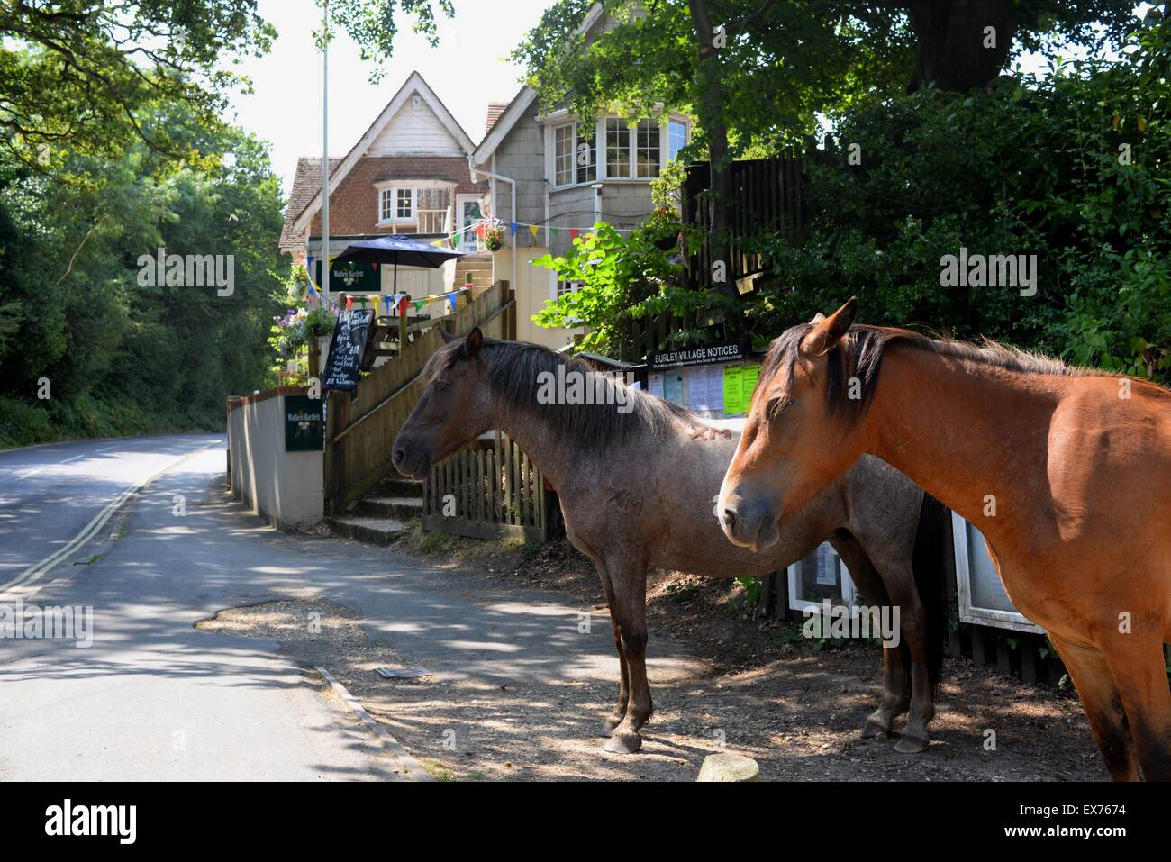 Burley New Forest High Resolution Stock Photography and Images - Alamy