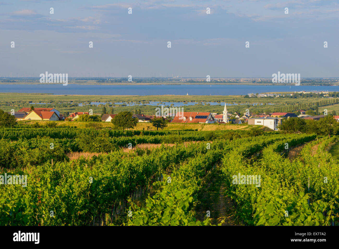 Landscape of morbisch am see hi-res stock photography and images - Alamy