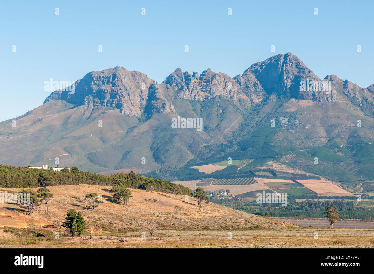 Helderberg mountain wine hi-res stock photography and images - Alamy