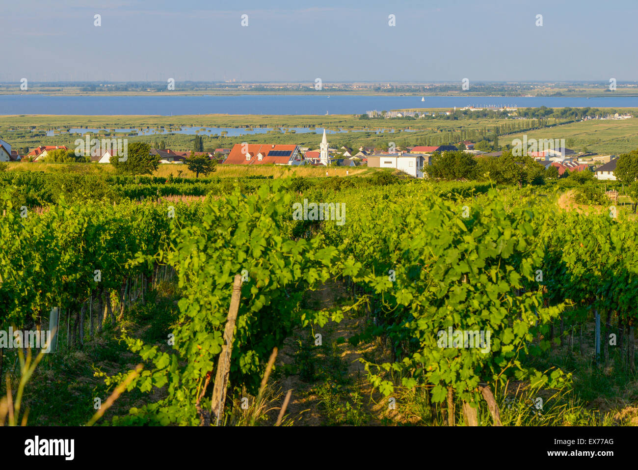 Mörbisch am Neusiedler See, Seewinkel, Burgenland, Österreich Stock ...