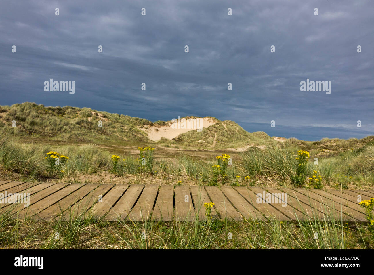 sand dunes path boardwalk Stock Photo - Alamy