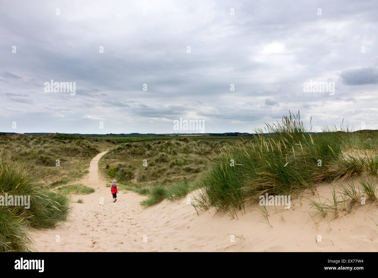 Sand dunes path Stock Photo - Alamy