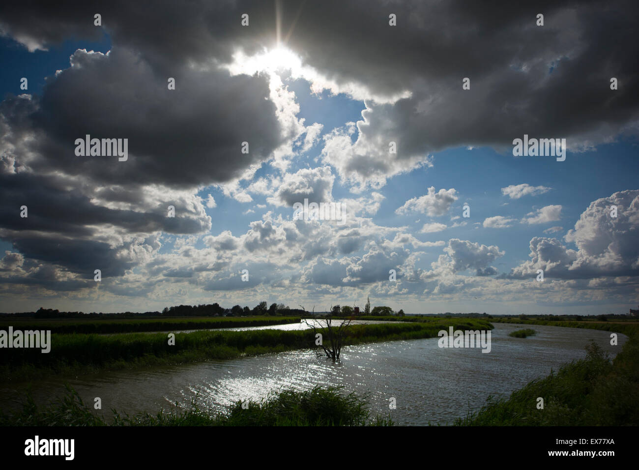Reedham marsh and river Yare with big sky Stock Photo - Alamy