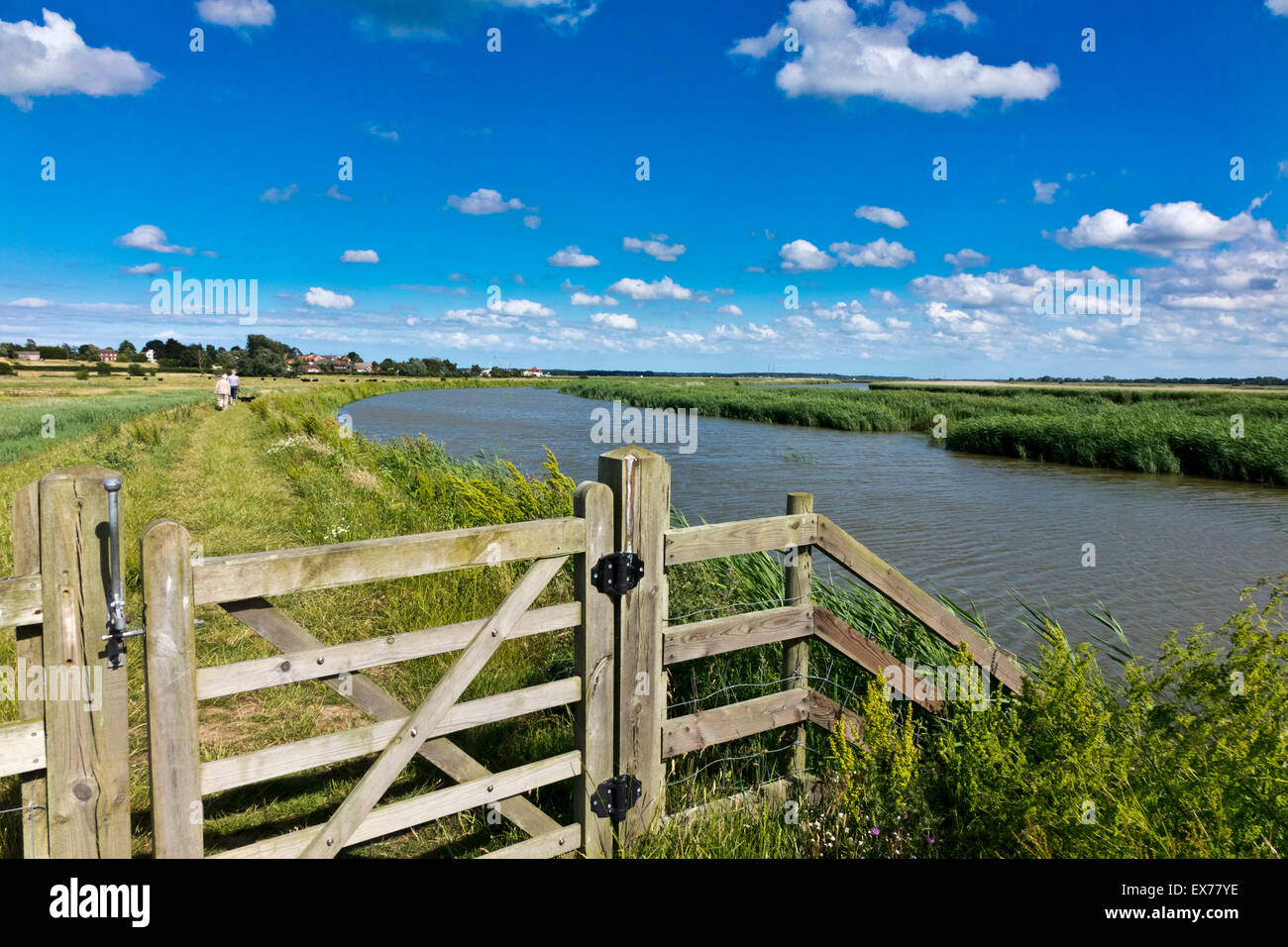 Reedham marshes hi-res stock photography and images - Alamy