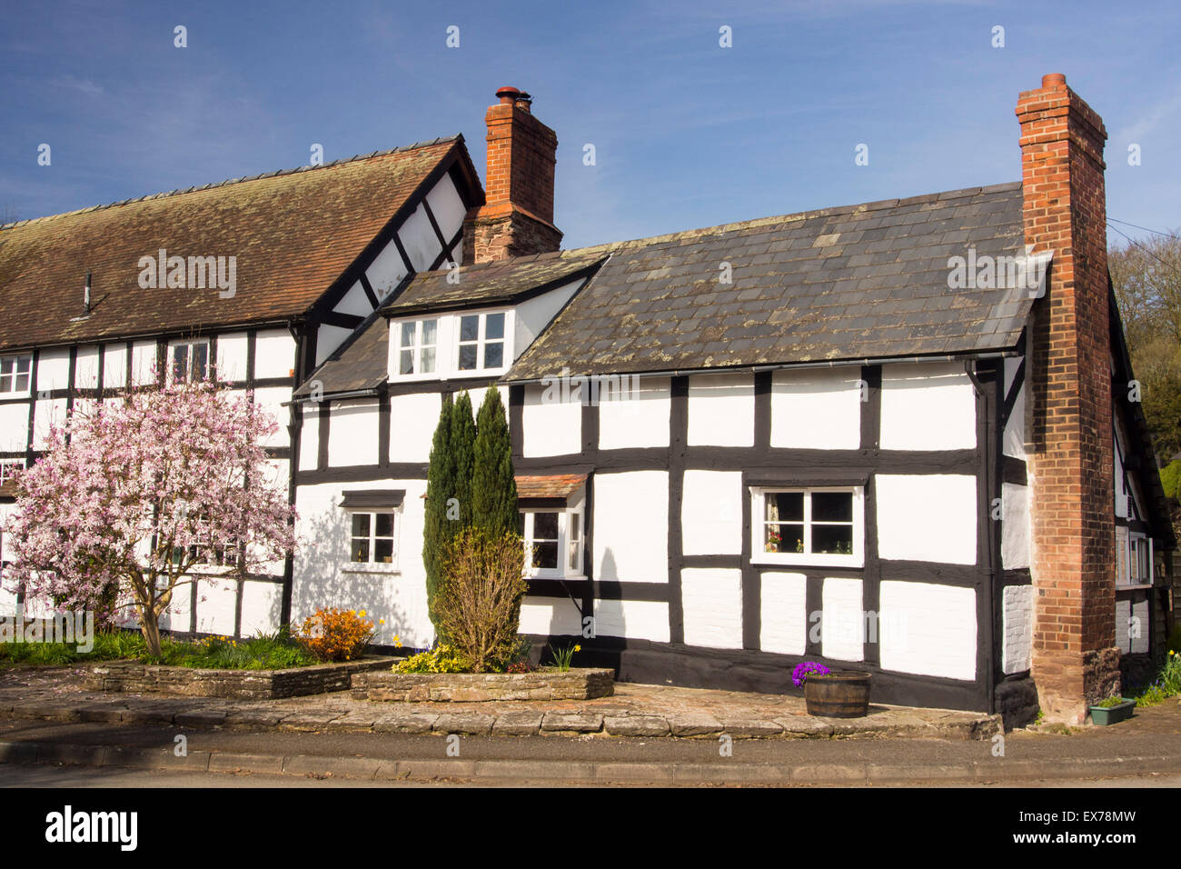 An ancient medieval Tudor timber framed house in Dilwyn, Herefordshire ...