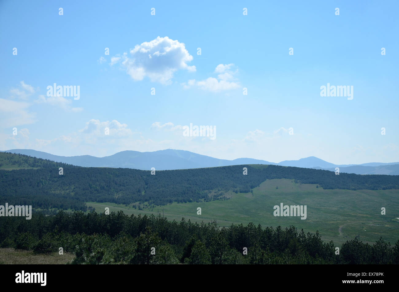Green hills with pine trees in spring Stock Photo - Alamy