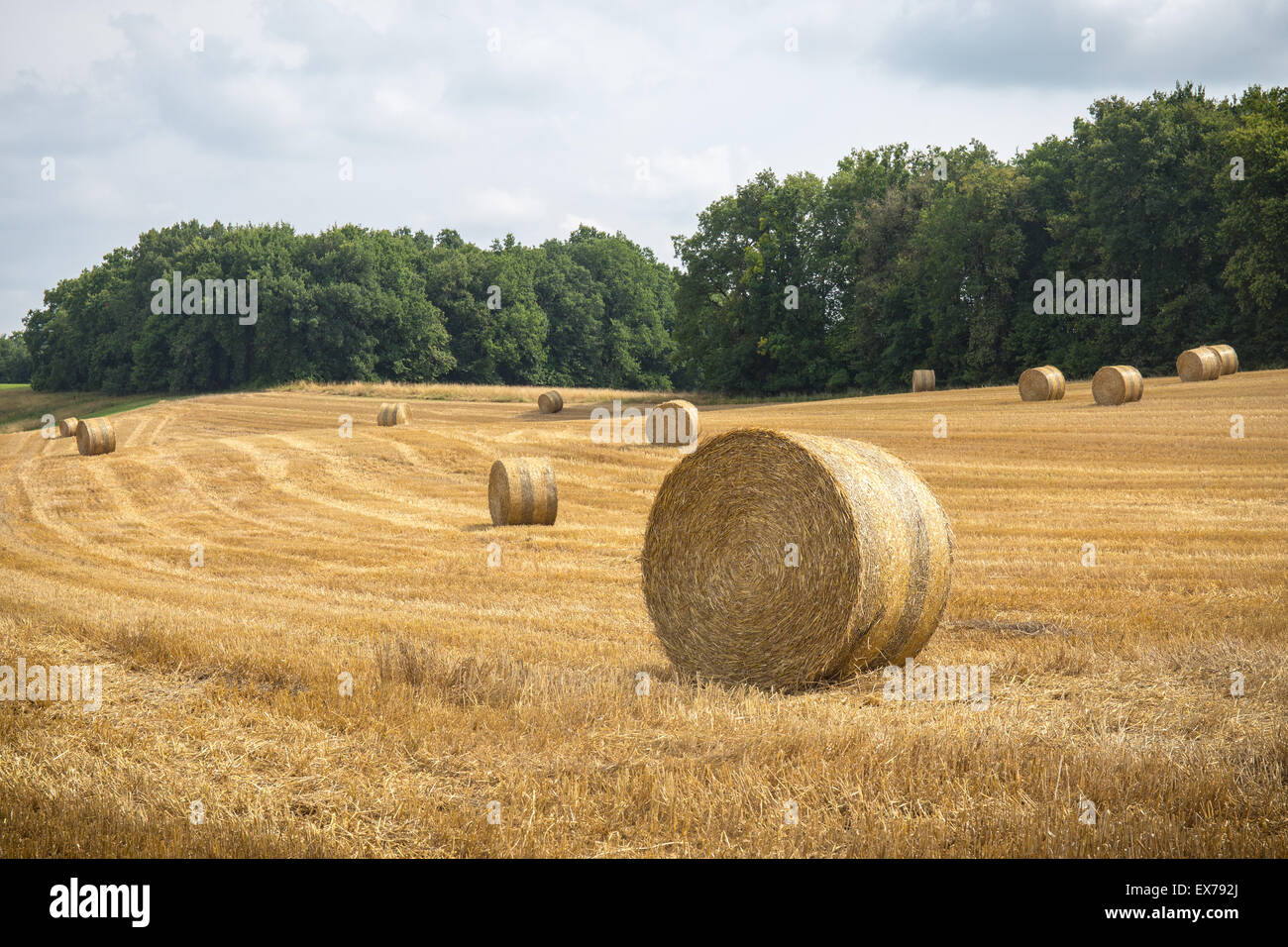 Countryside landscape with haystacks Stock Photo - Alamy