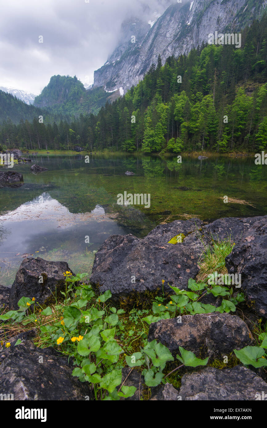 Gosaulacke, lake, Dachstein, Gosau, Salzkammergut, Upper Austria ...