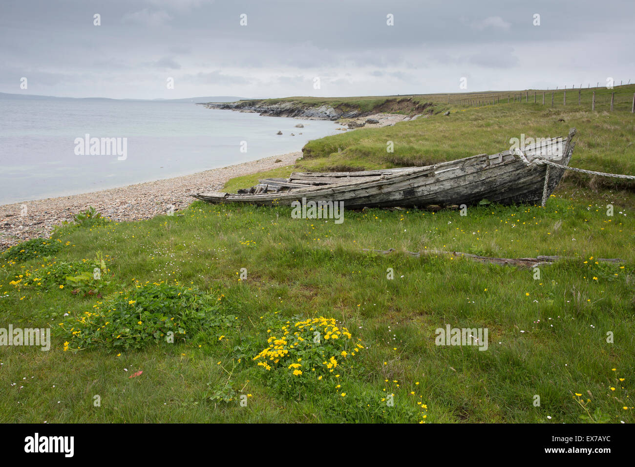 Fetlar High Resolution Stock Photography and Images - Alamy