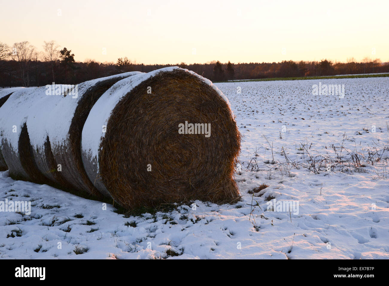 Winter farm scene hi-res stock photography and images - Alamy