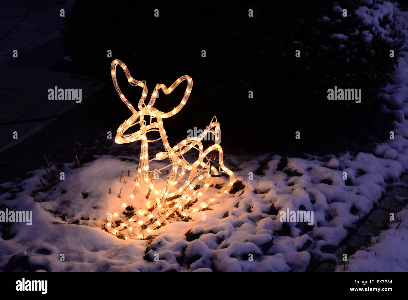 Lighted christmas reindeer Stock Photo - Alamy